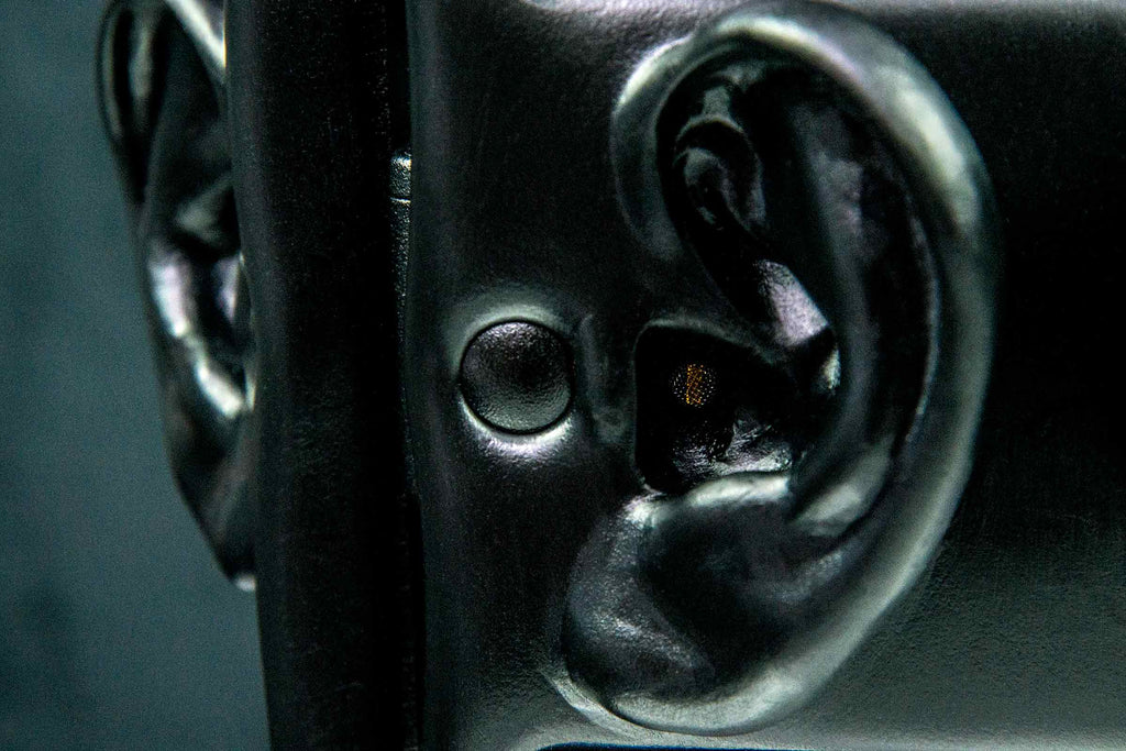 3Dio Omni Pro Binaural Microphone
