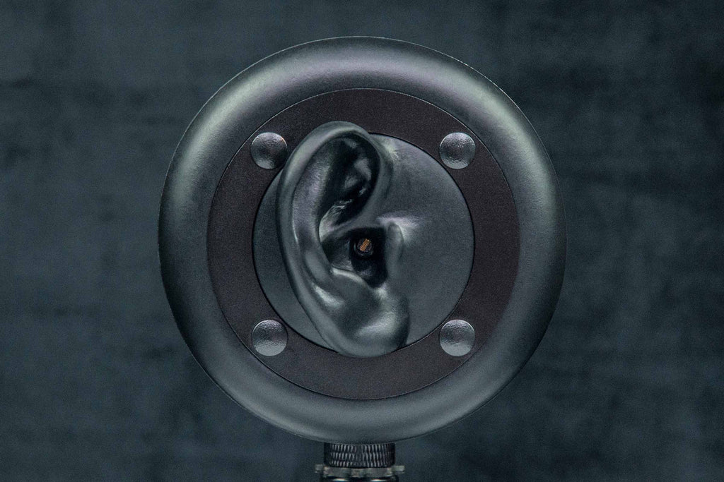 3Dio Free Space Pro II Binaural Microphone
